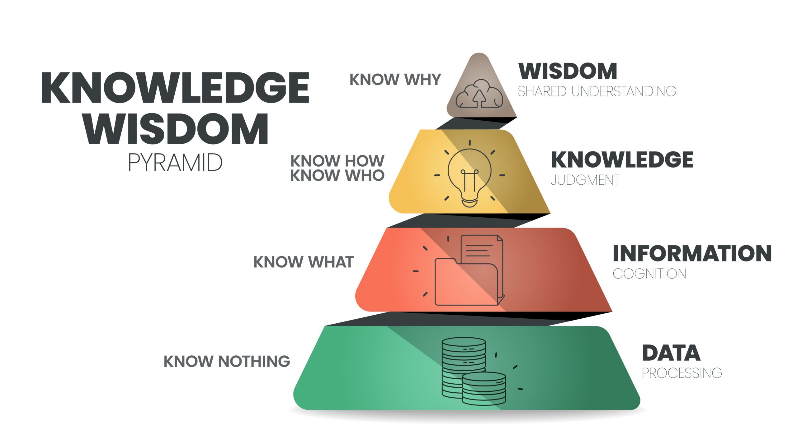 The Journey of Data to Wisdom - Mesa Associates, Inc.